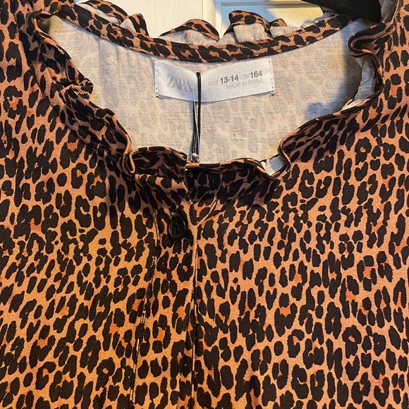 Zara | Dresses | Zara Leopard Print Button Down Dress | Poshmark